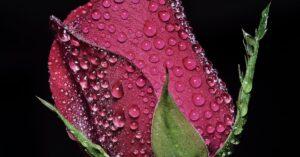 Comprendre le syndrome de la tête qui explose : origines et solutions